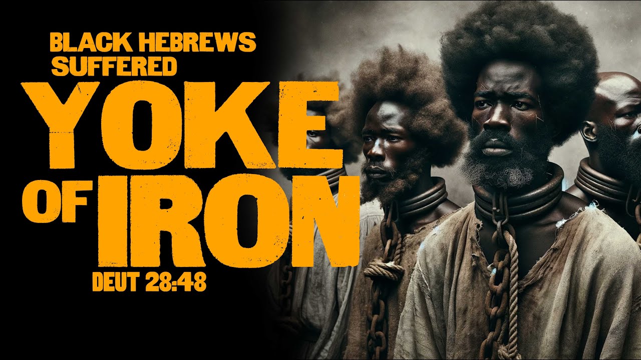 THE MIDDLE PASSAGE – STACKED LIKE SARDINES WITH YOKES OF IRON: Shameful ...