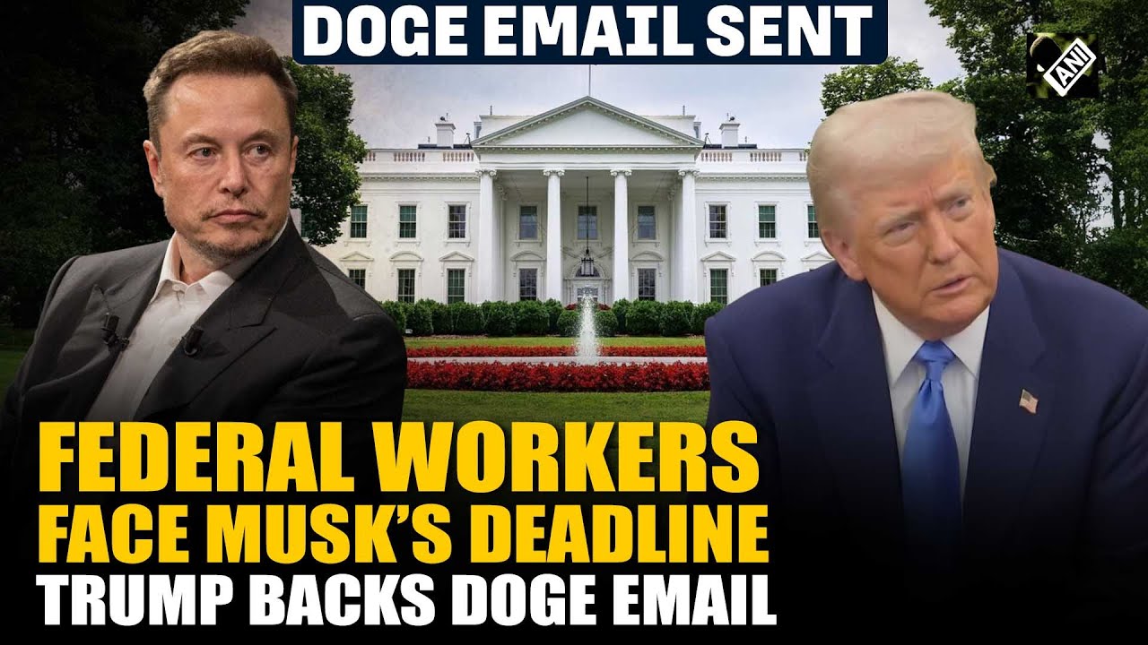 Elon Musk’s DOGE Email and the Beginning of Sedition Among Men - ANIMA ...