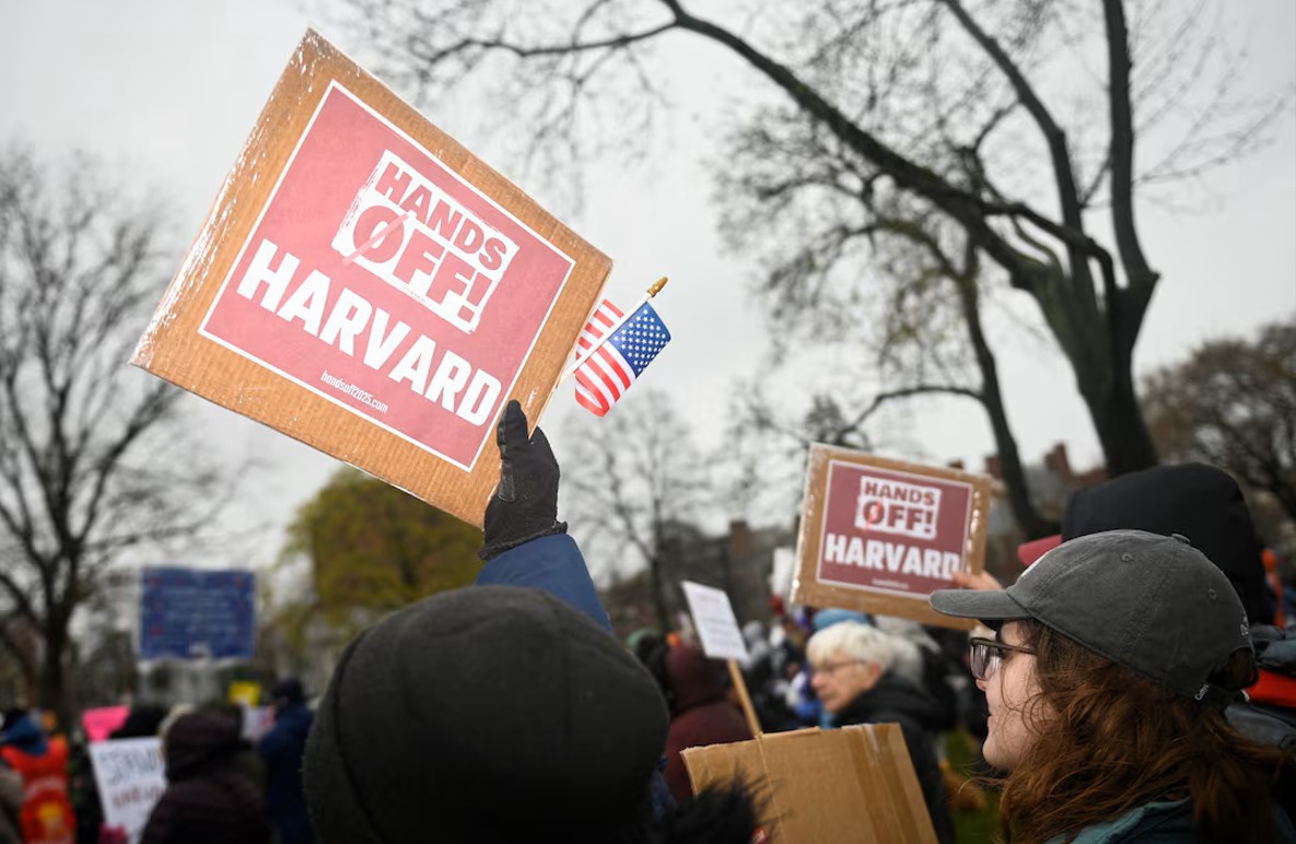THE EAGLE KING VS. HARVARD—BABYLON’S IVORY TOWERS ARE UNDER SIEGE ...
