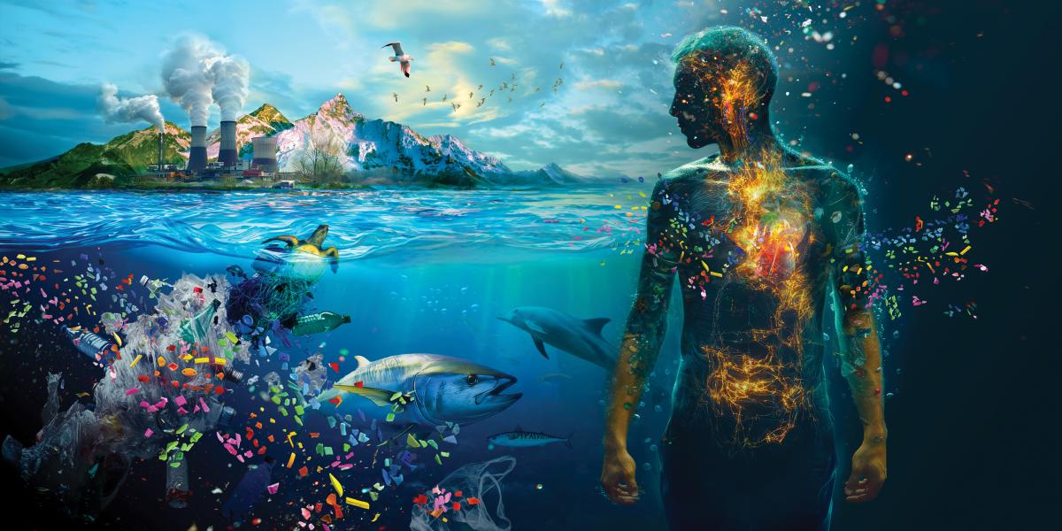 ESAU EDOM’S FINAL POLLUTION — MICROPLASTICS IN THE SEED OF MAN - ANIMA ...